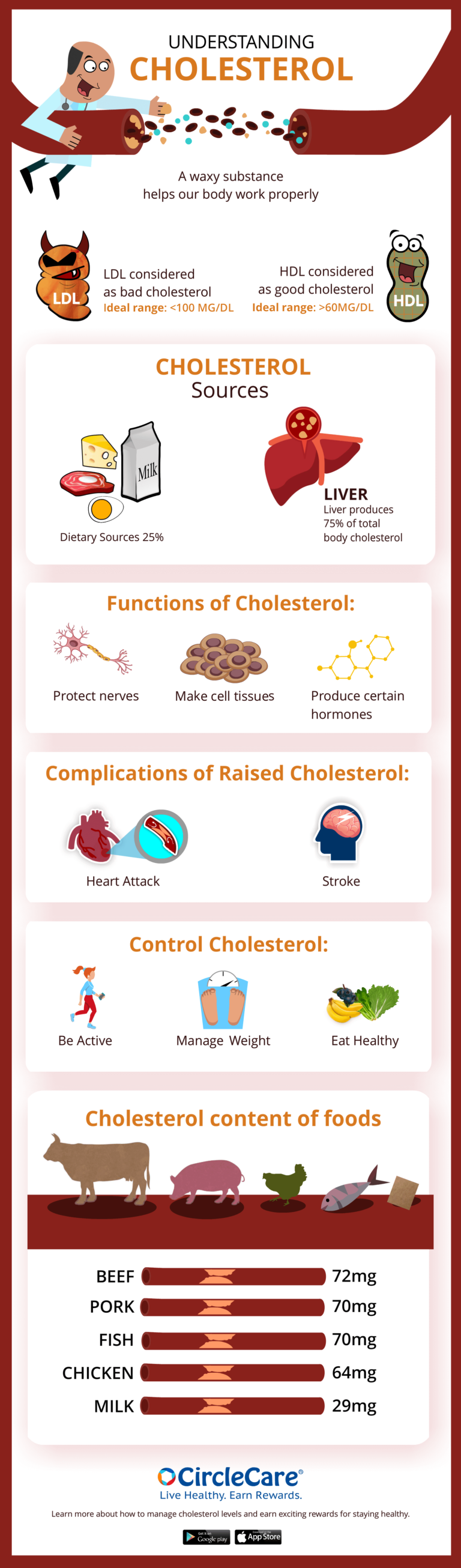Infographic: Understanding What Is Cholesterol